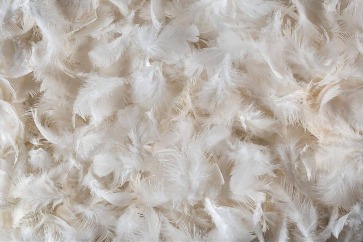 What Is a Comforter? - Everything You Need to Know